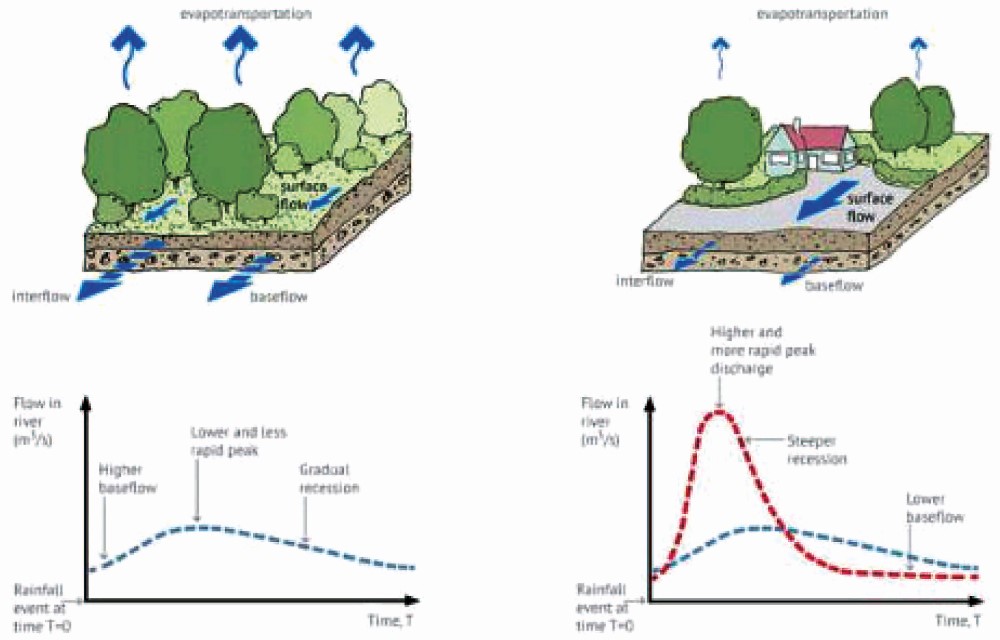 Soil functions